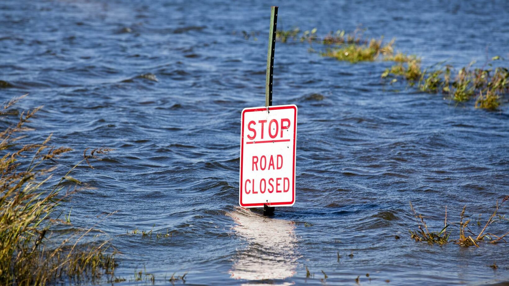 How Does Rising Sea Levels Affect Agriculture? Understanding the Impact ...