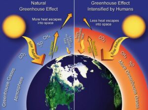 What Are the Main Causes of the Greenhouse Effect? A Breakdown of the ...