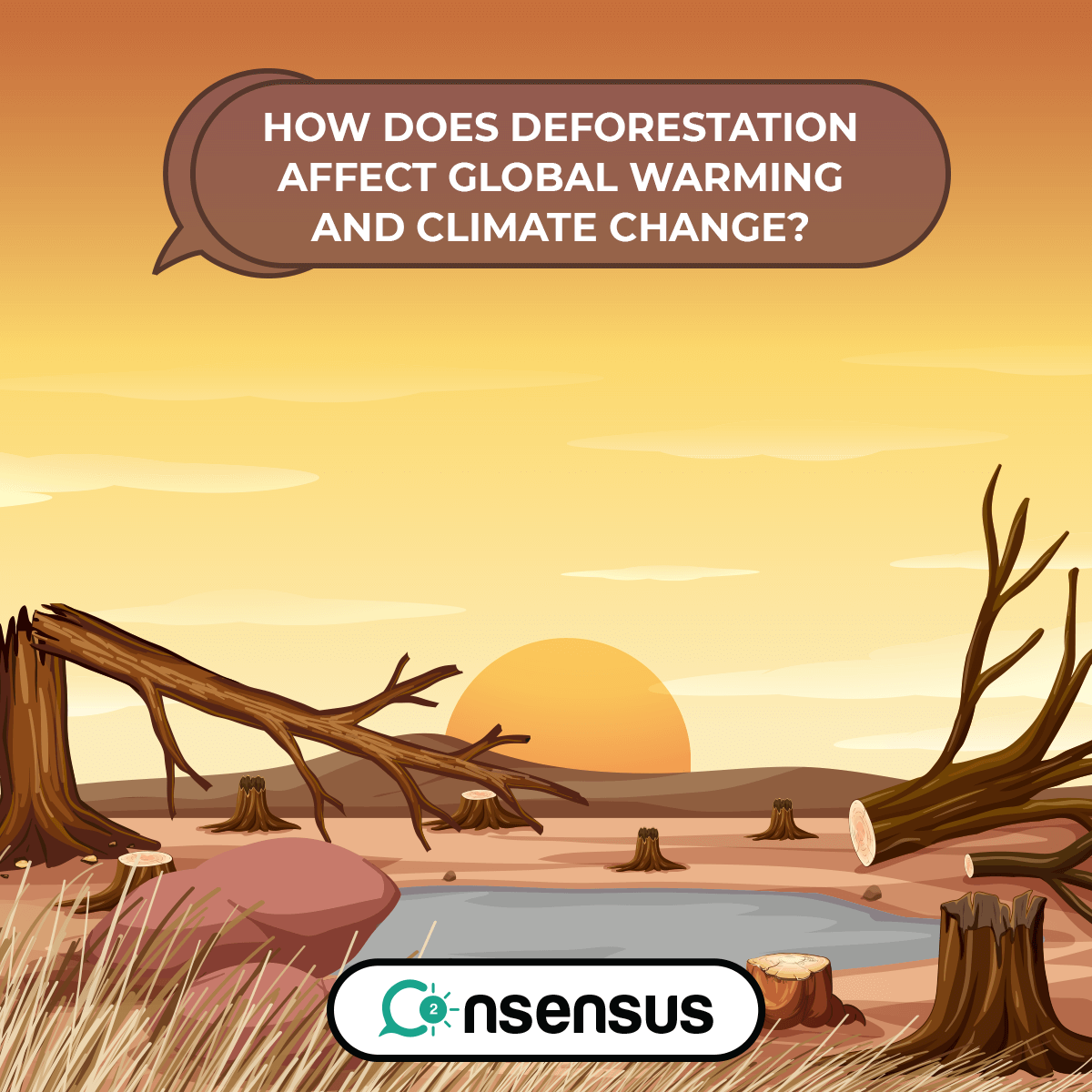 How Does Deforestation Contribute to Global Warming? The Role of Trees ...