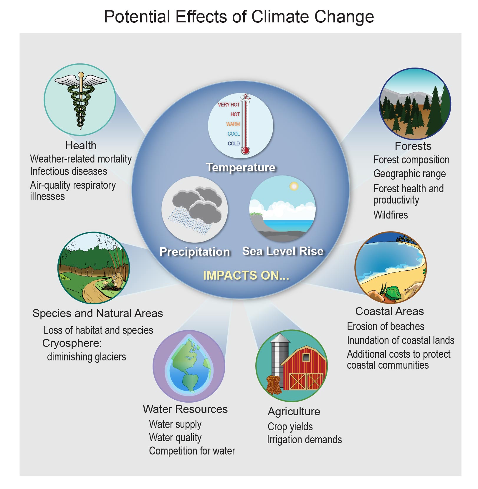 What Are the Possible Consequences of Global Warming? Understanding the ...