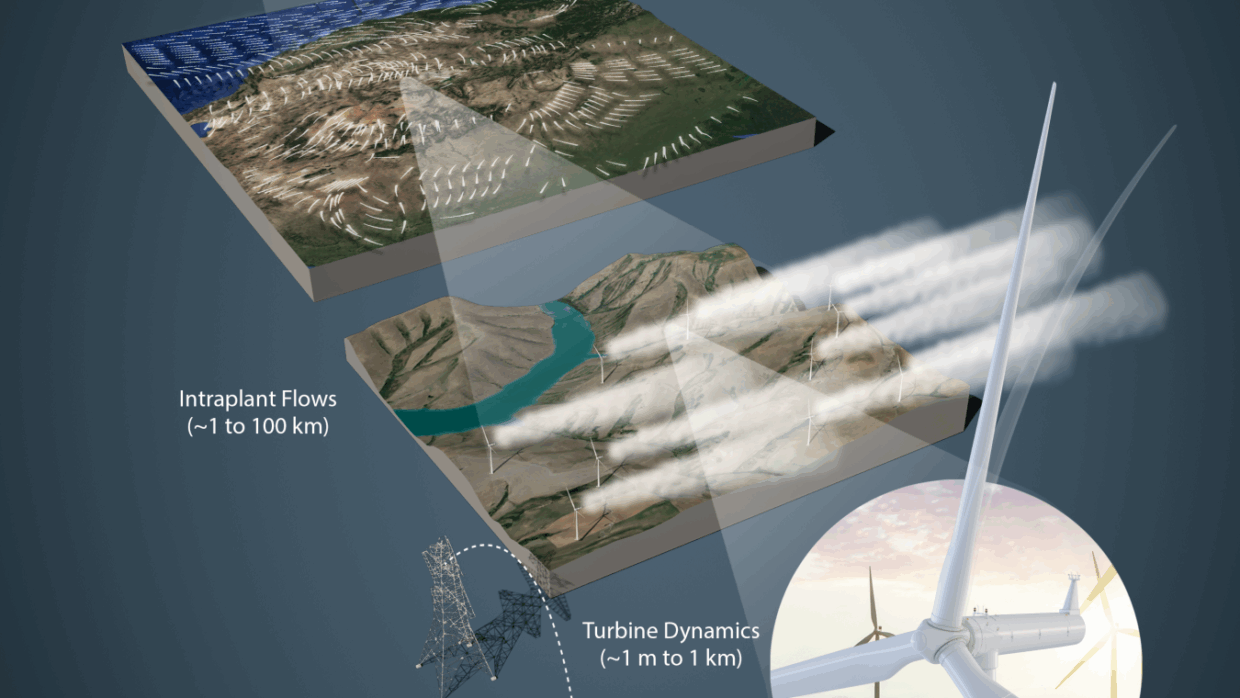 How Does Wind Energy Affect the Environment? Exploring the Positive and ...