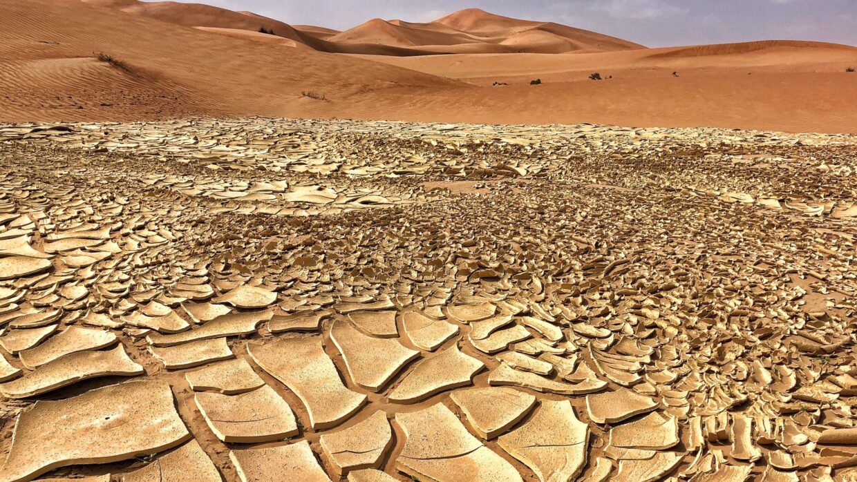 What Is Argentina’s Climate? From Patagonian Chill to Pampas Warmth