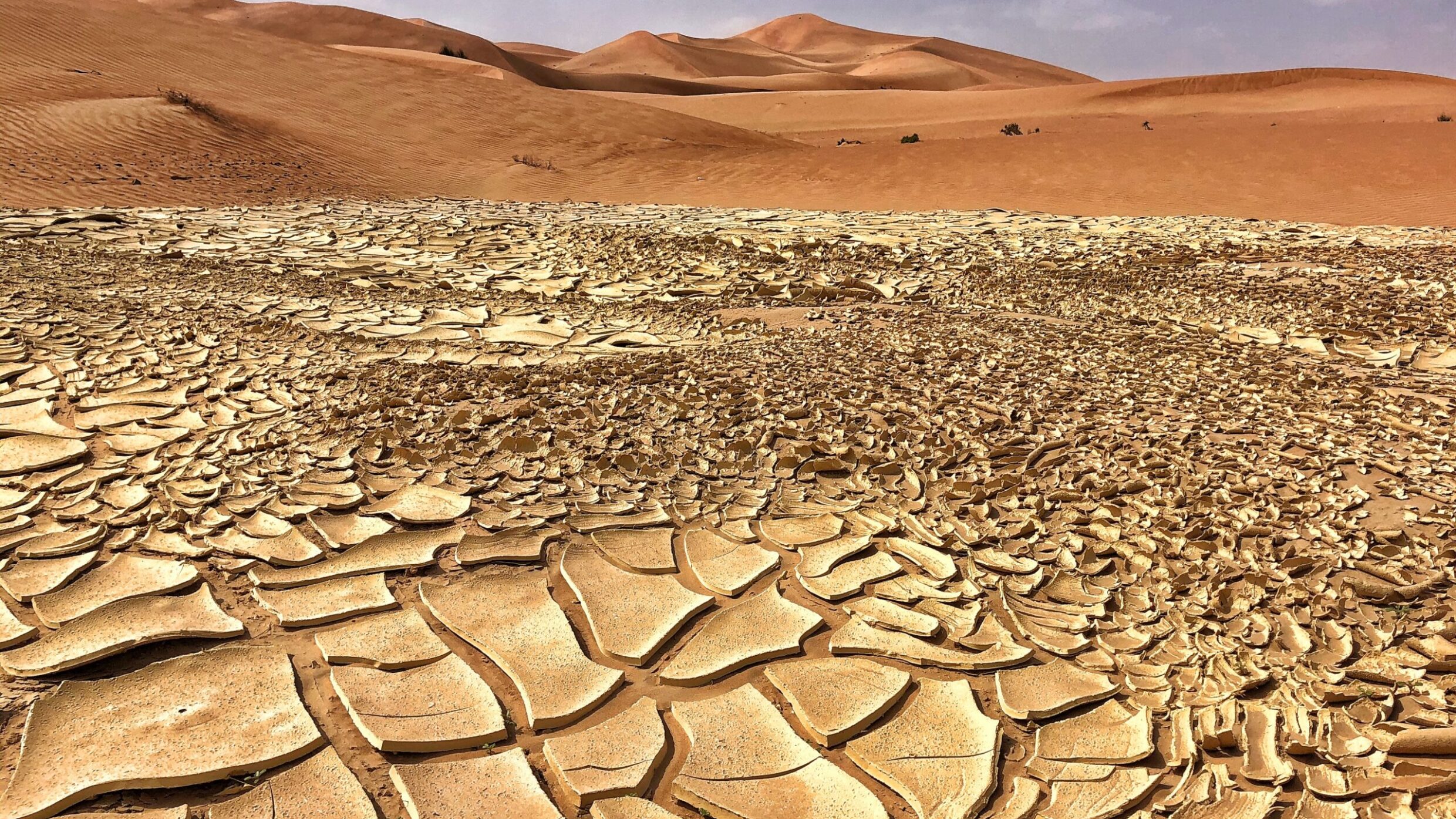 How Does Altitude Affect Climate Patterns in a Region?