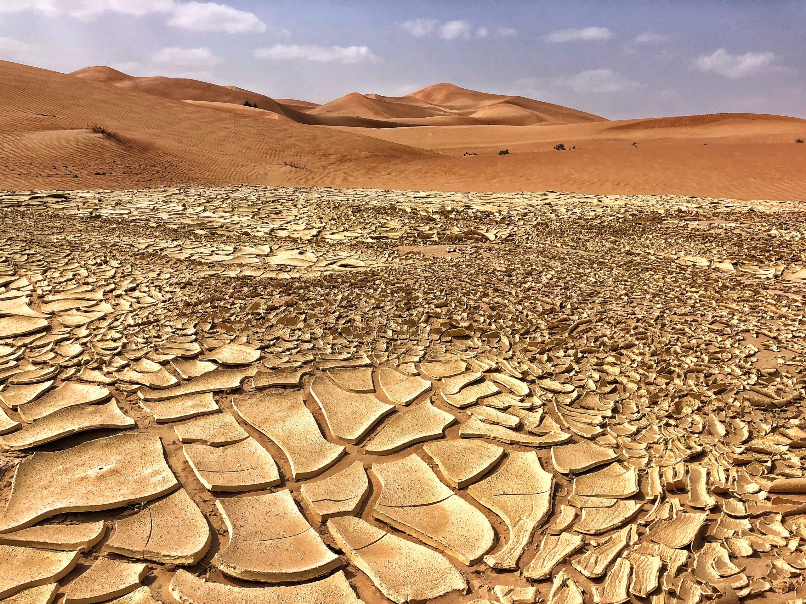 How Does Altitude Affect Climate Patterns in a Region?