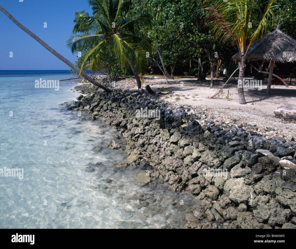 How Does Climate Change Affect Rising Sea Levels? Understanding the ...