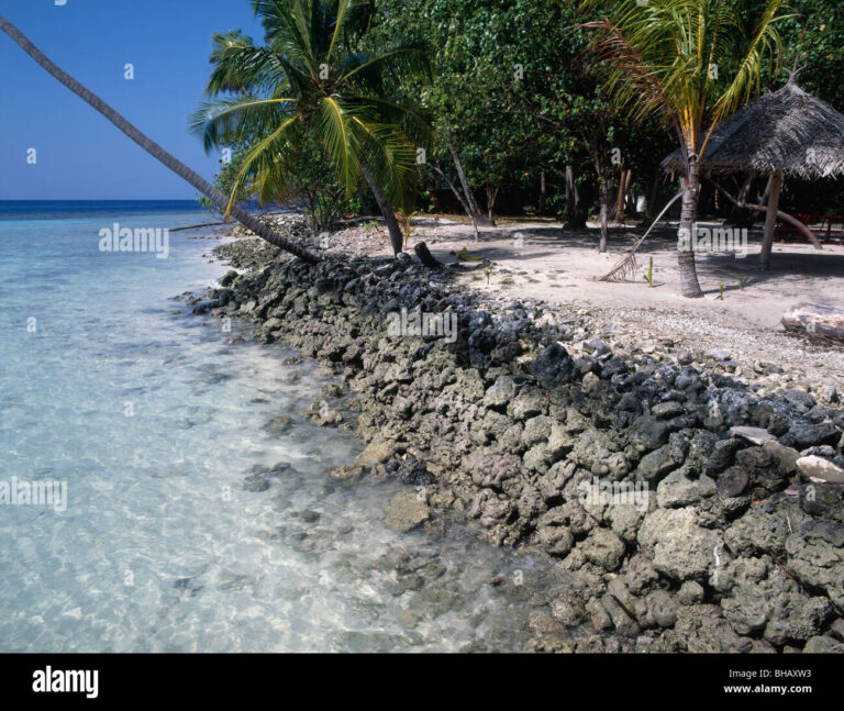 Why Is Sea Level Rising? Understanding the Causes of Rising Ocean Levels