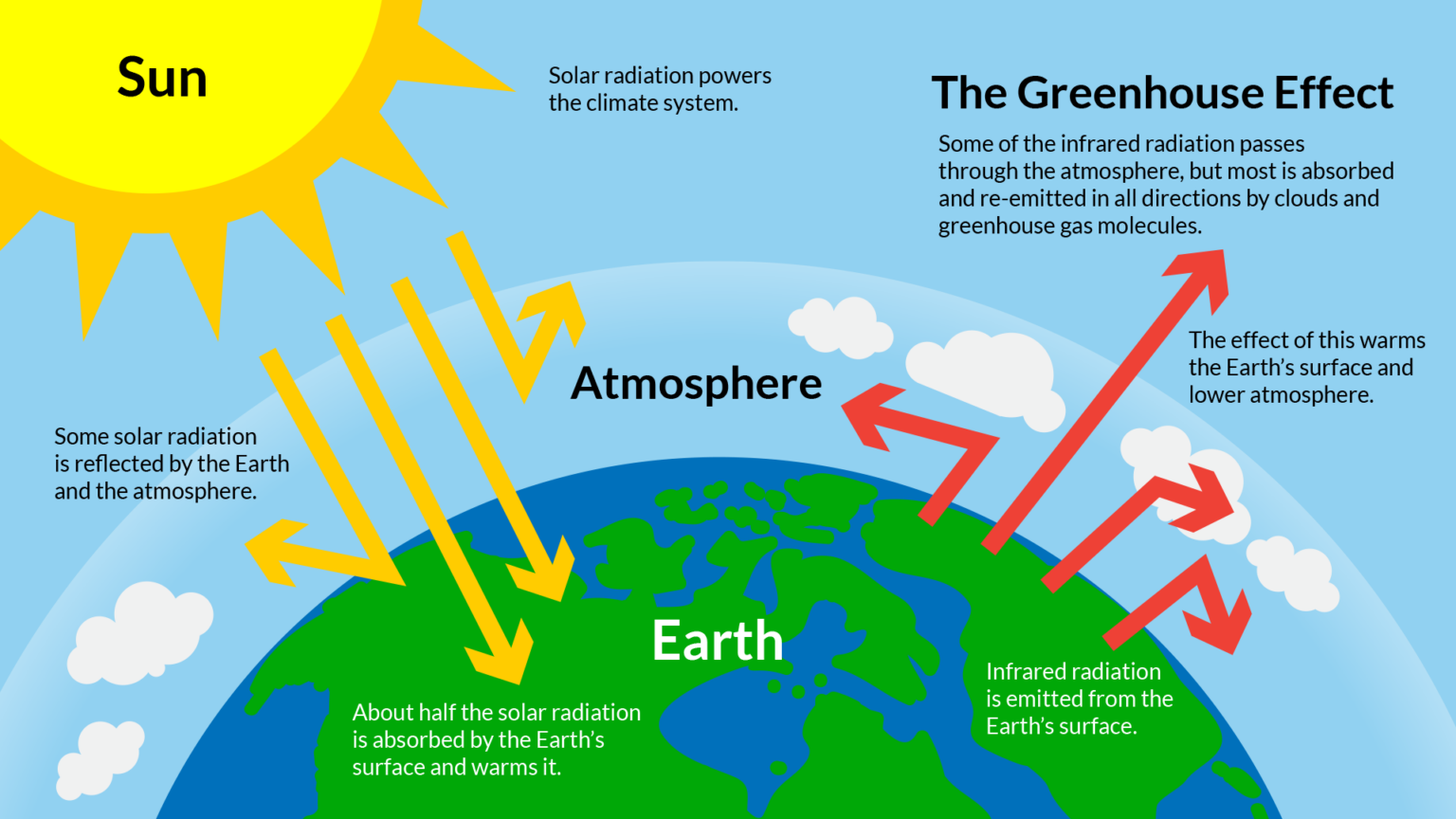 How Does Rising Sea Levels Affect Agriculture? Understanding the Impact ...