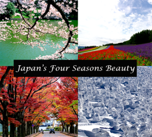What Is the Climate Like in Japan? Exploring the Four Seasons