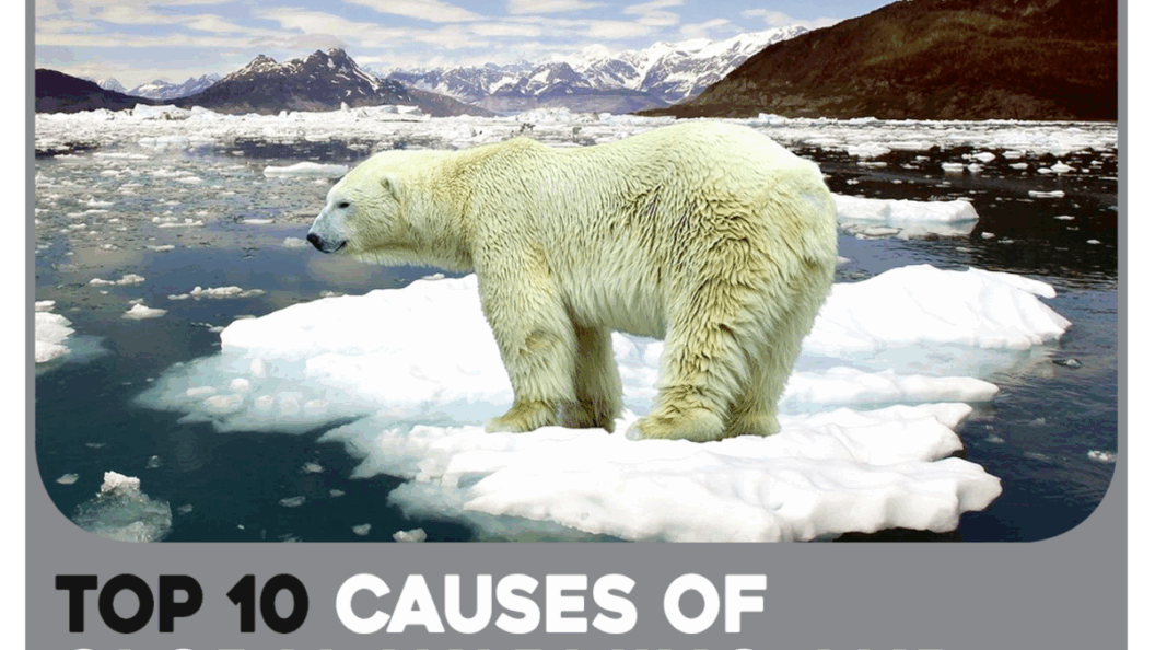 What Are the 10 Major Causes of Climate Change?
