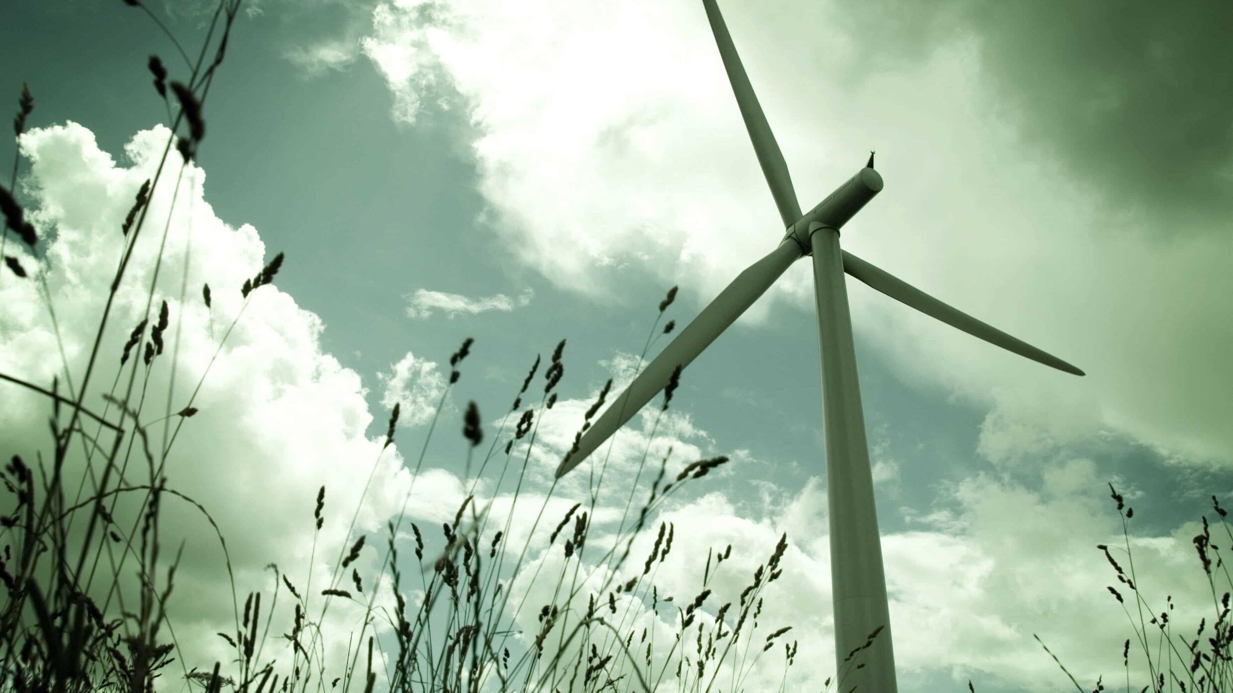 What Is the Source of Wind Energy? Discovering Where Wind Power Comes From