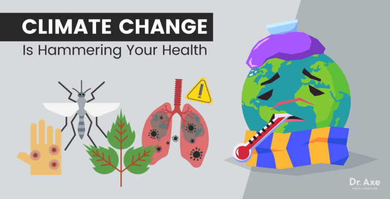 How Do Mountains Affect Climate? Nature’s Weather Walls Explained