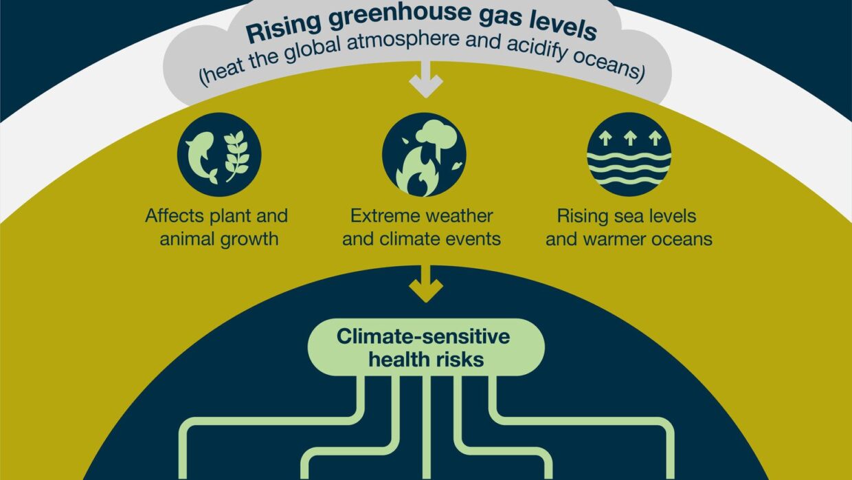 A Detailed Timeline of Climate Change: From Ice Ages to IPCC
