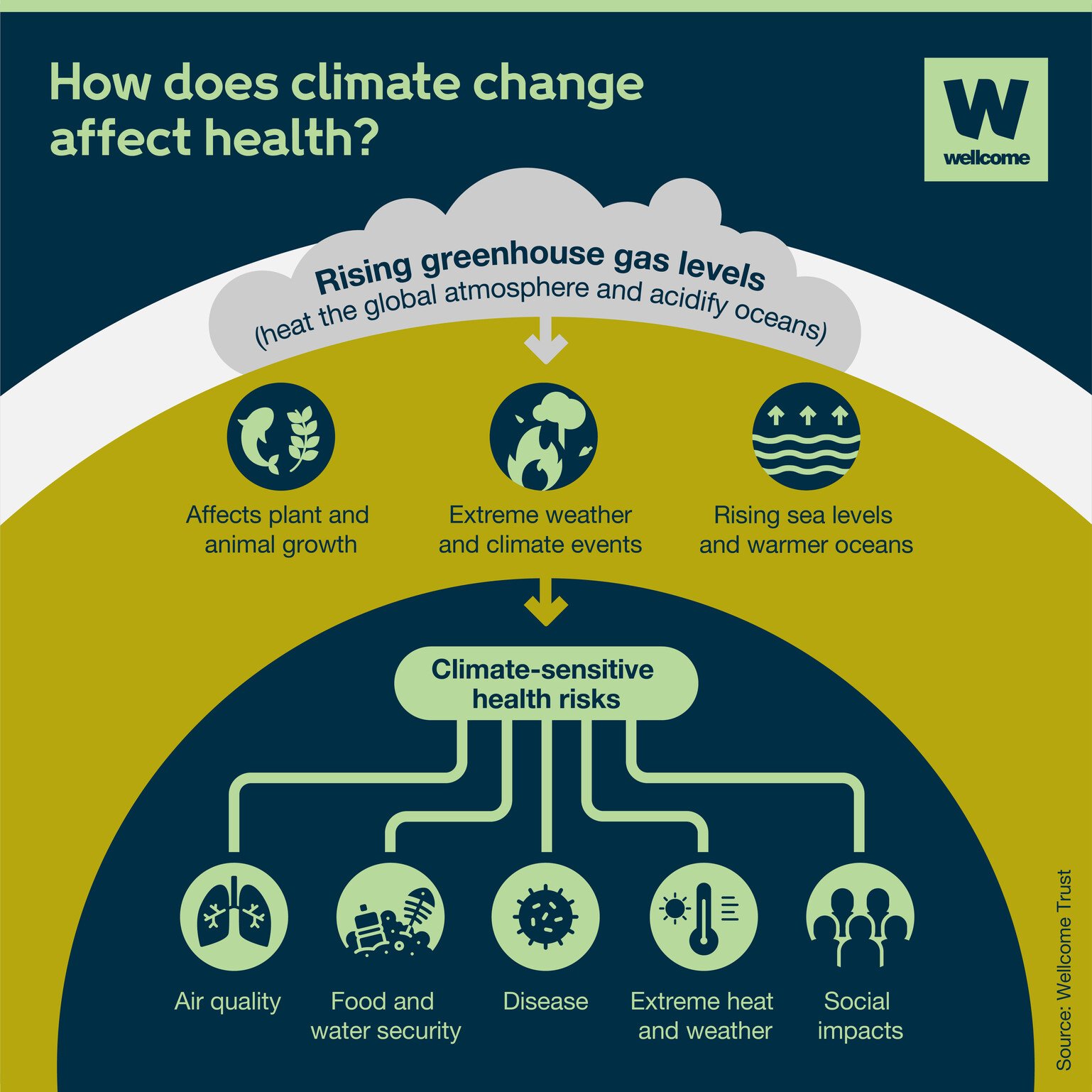 How Climate Change Affects Human Health: From Heatwaves to Disease