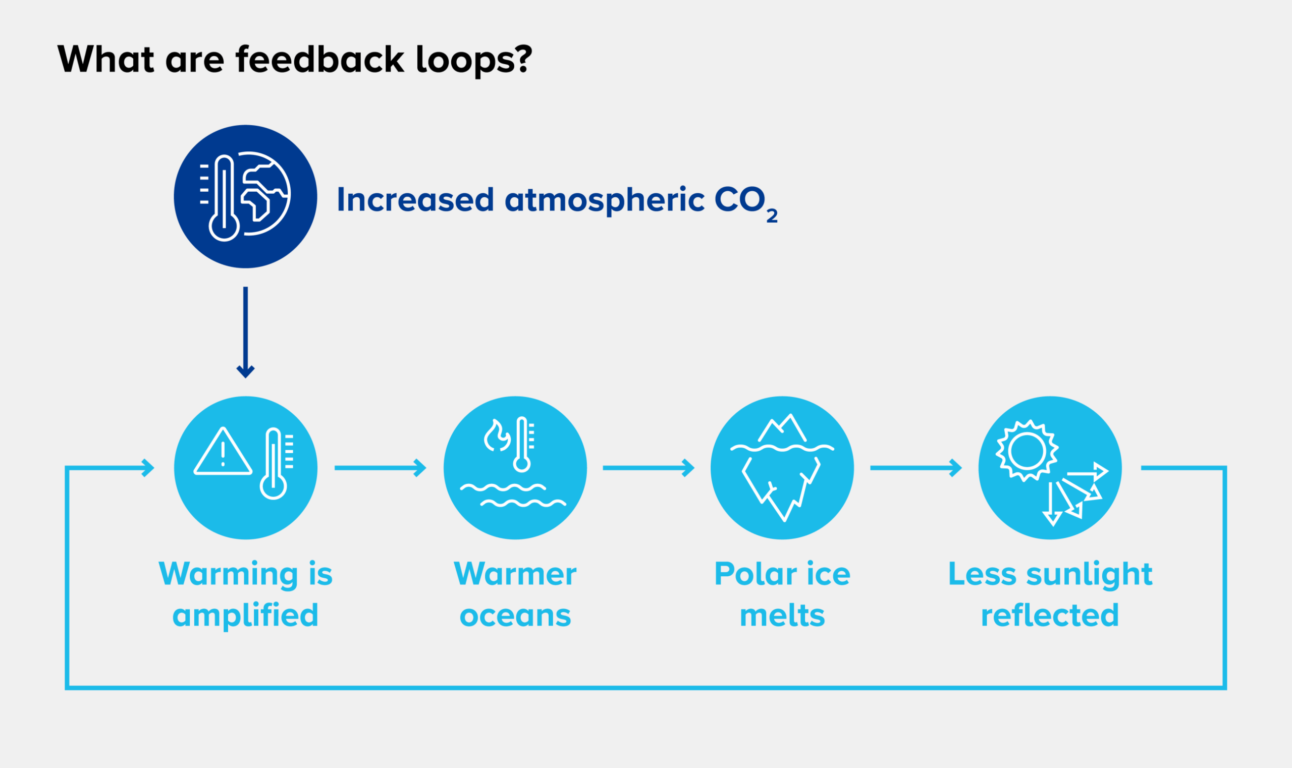 How Climate Feedback Loops Slow (or Accelerate) Global Warming