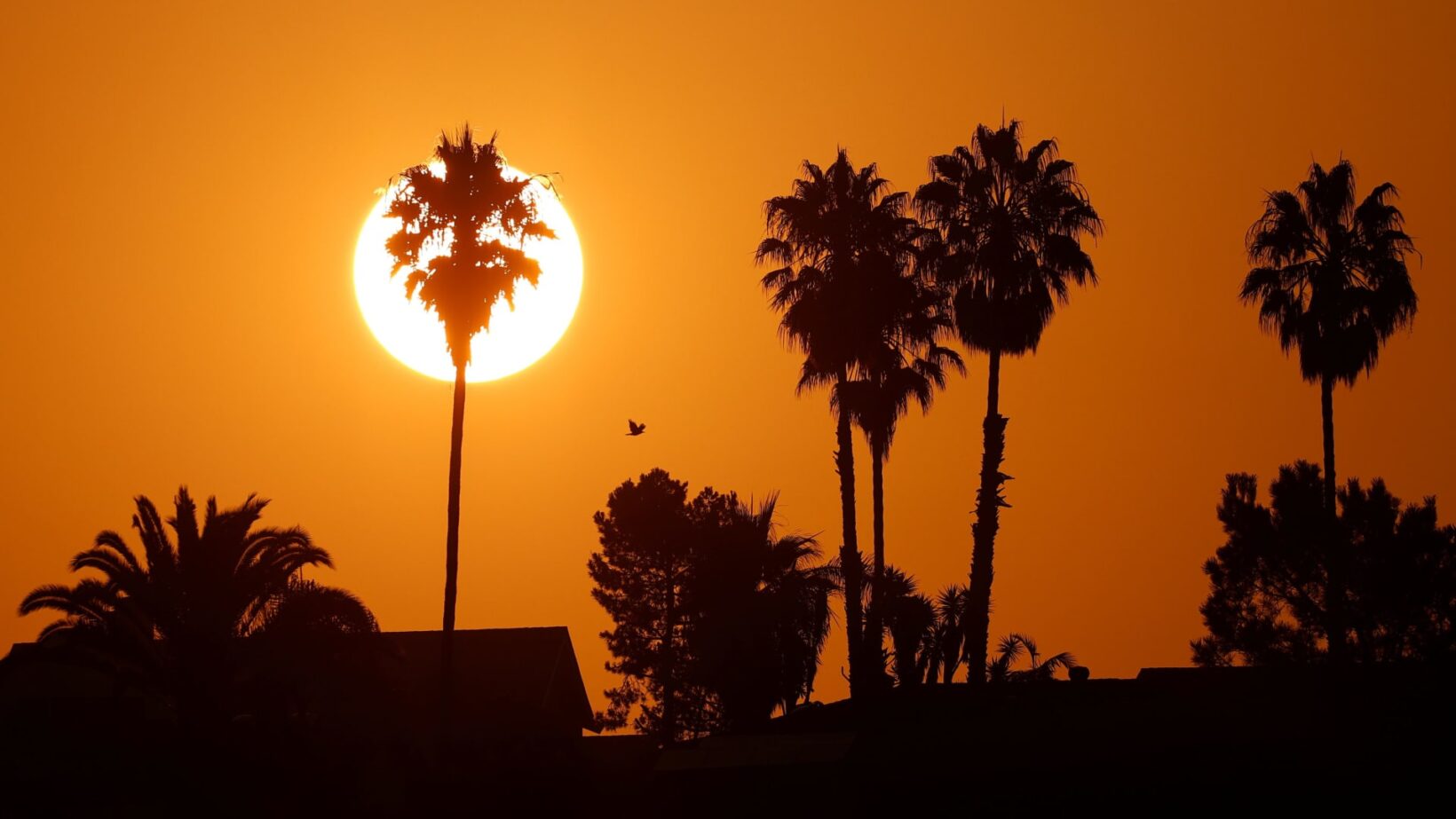 What Will Climate Change Be Like in 2050? A Glimpse into Our Planet’s ...