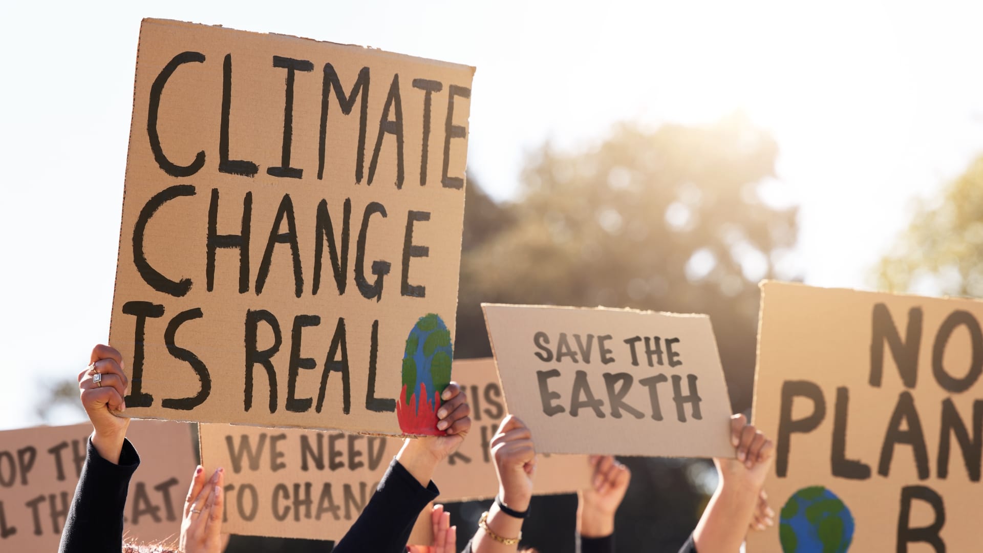 What To Do To Stop Climate Change: Practical Steps for Everyone