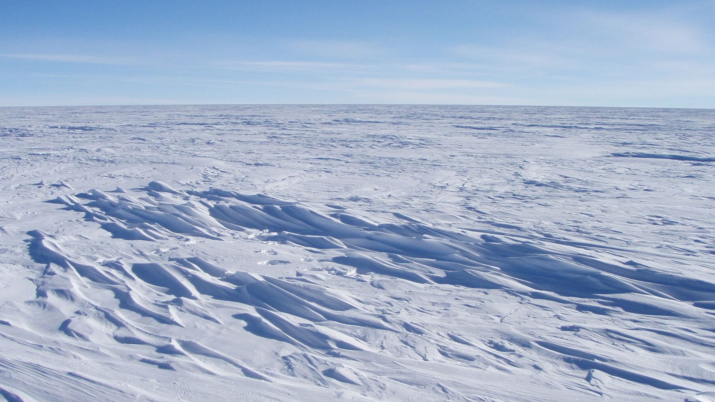 Does Littering Cause Climate Change? The Dirty Truth Behind Trash