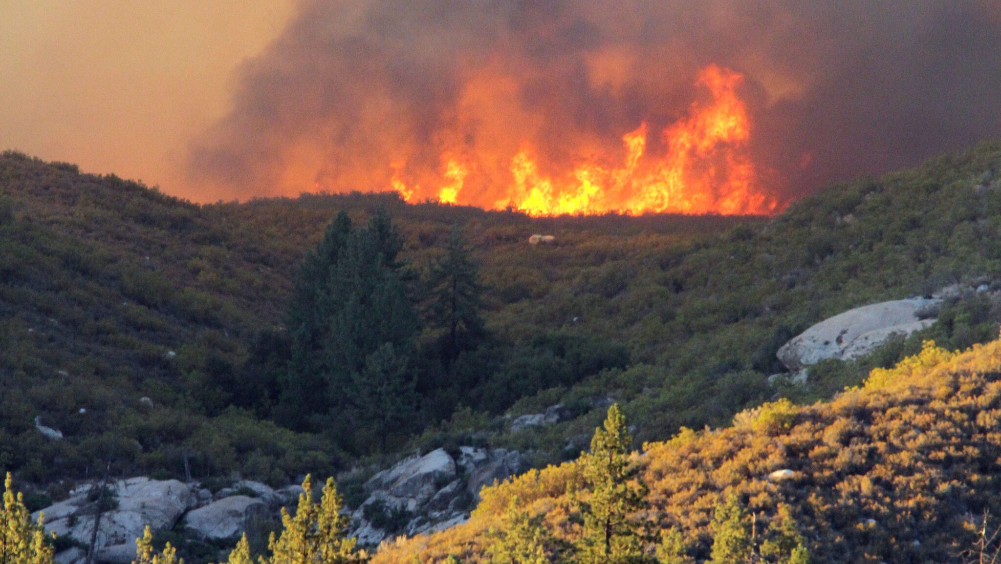 What Is the Effect of Climate Change? Real-Life Impacts You Should Know