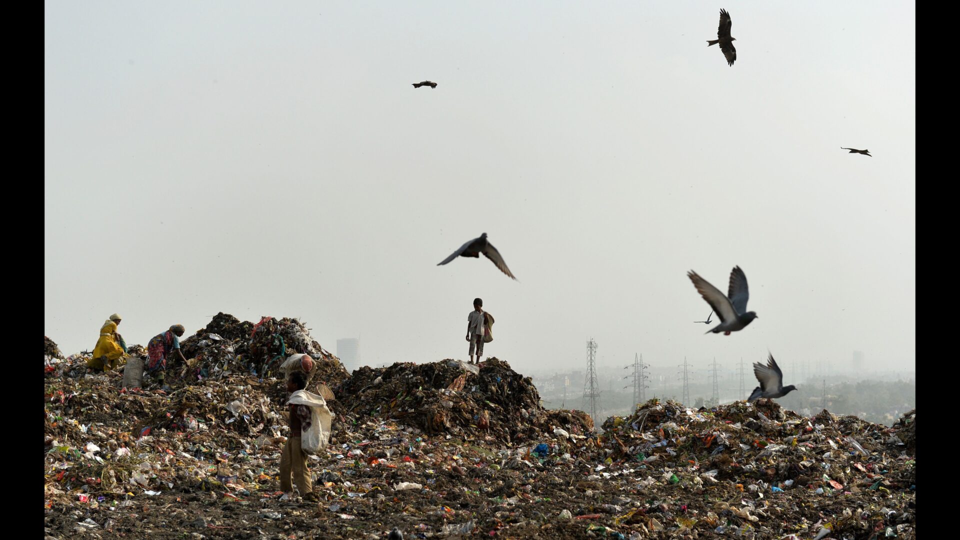 Who Contributes the Most to Climate Change? Top Polluters Revealed