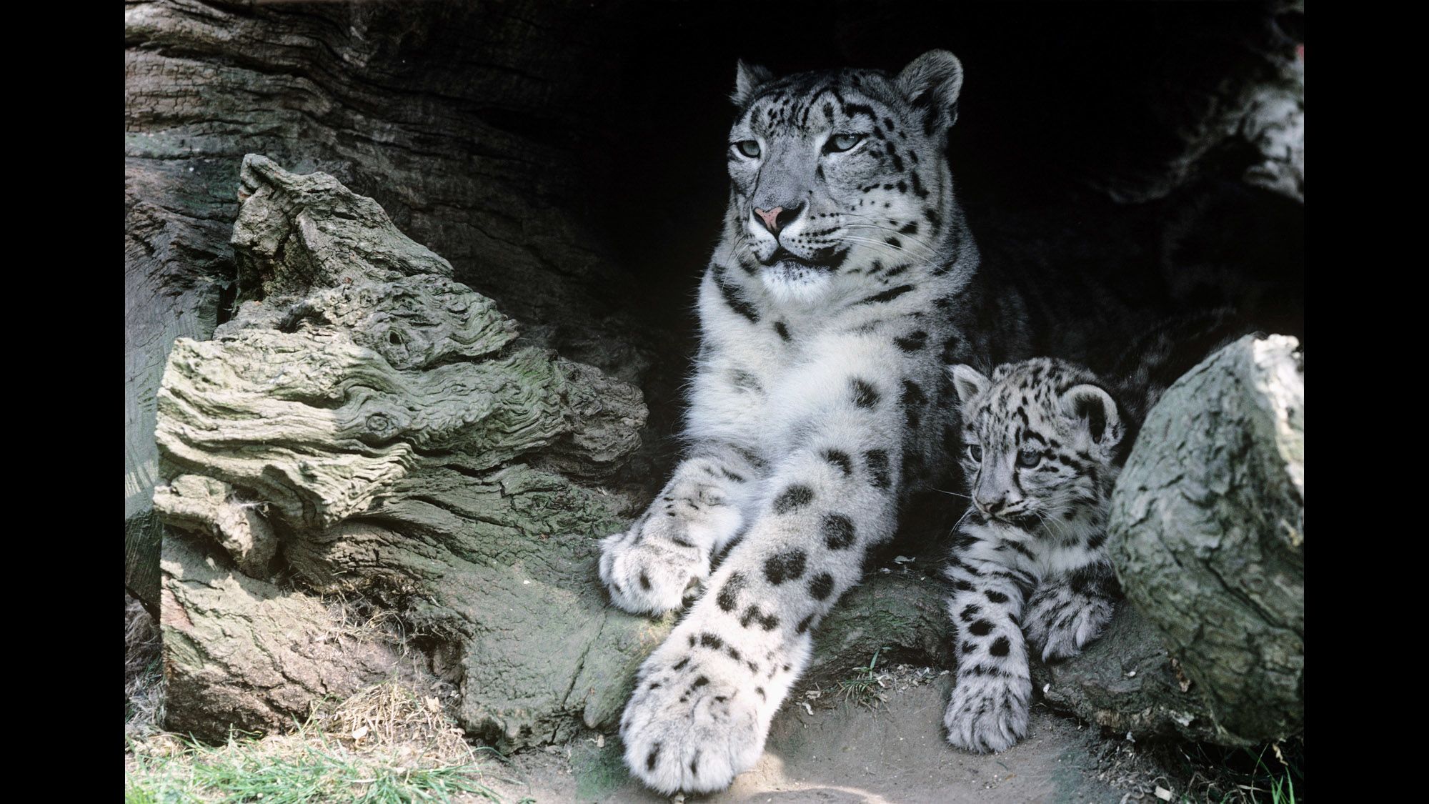 What Is the Definition of Climate? Simple and Clear