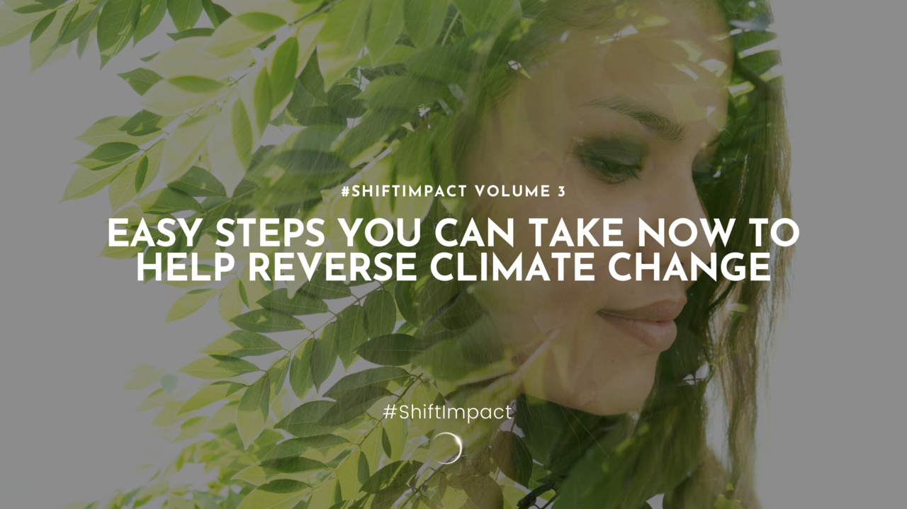 What to Do About Climate Change? Simple Steps You Can Take Today