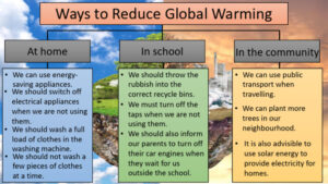 How Do We Prevent and Slow Down Global Warming? Strategies That Work