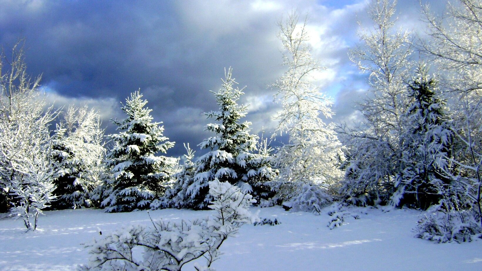 What Was the Southern Colonies Climate Like? A Glimpse into Early ...