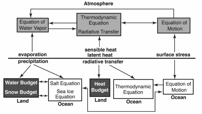 What Is Rainforests’ Climate? Why These Ecosystems Matter Globally
