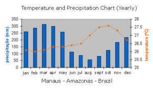 What Is the Climate of the Amazon? Tropical Rainforest’s Steamy Weather