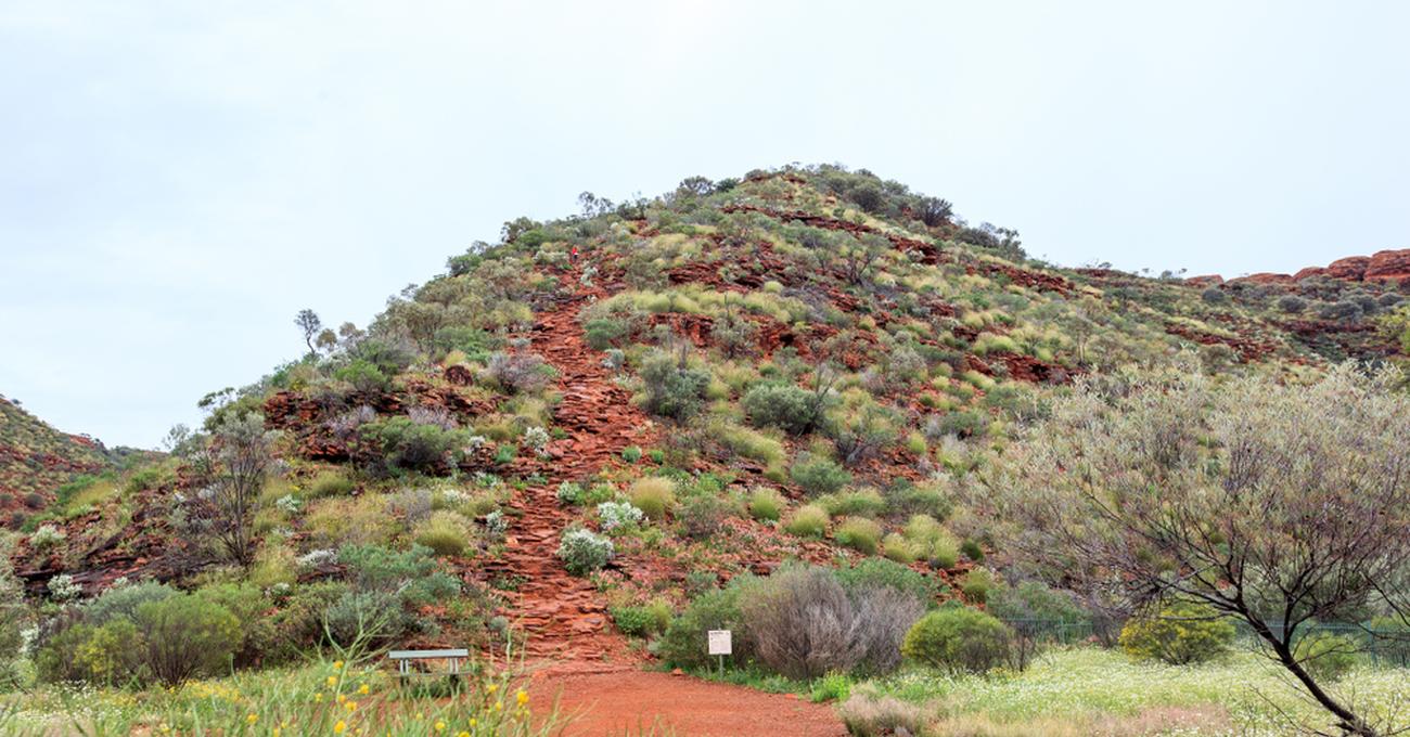 The Outback's Fury: Global Warming's Impact on Australia's Unique Biome
