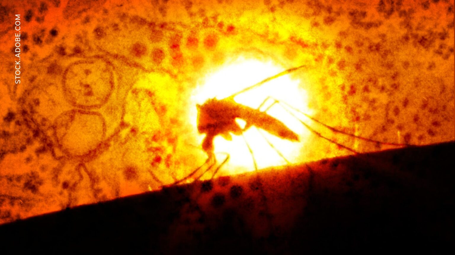 Earth's Fever: How Global Warming is Reshaping Our Planet