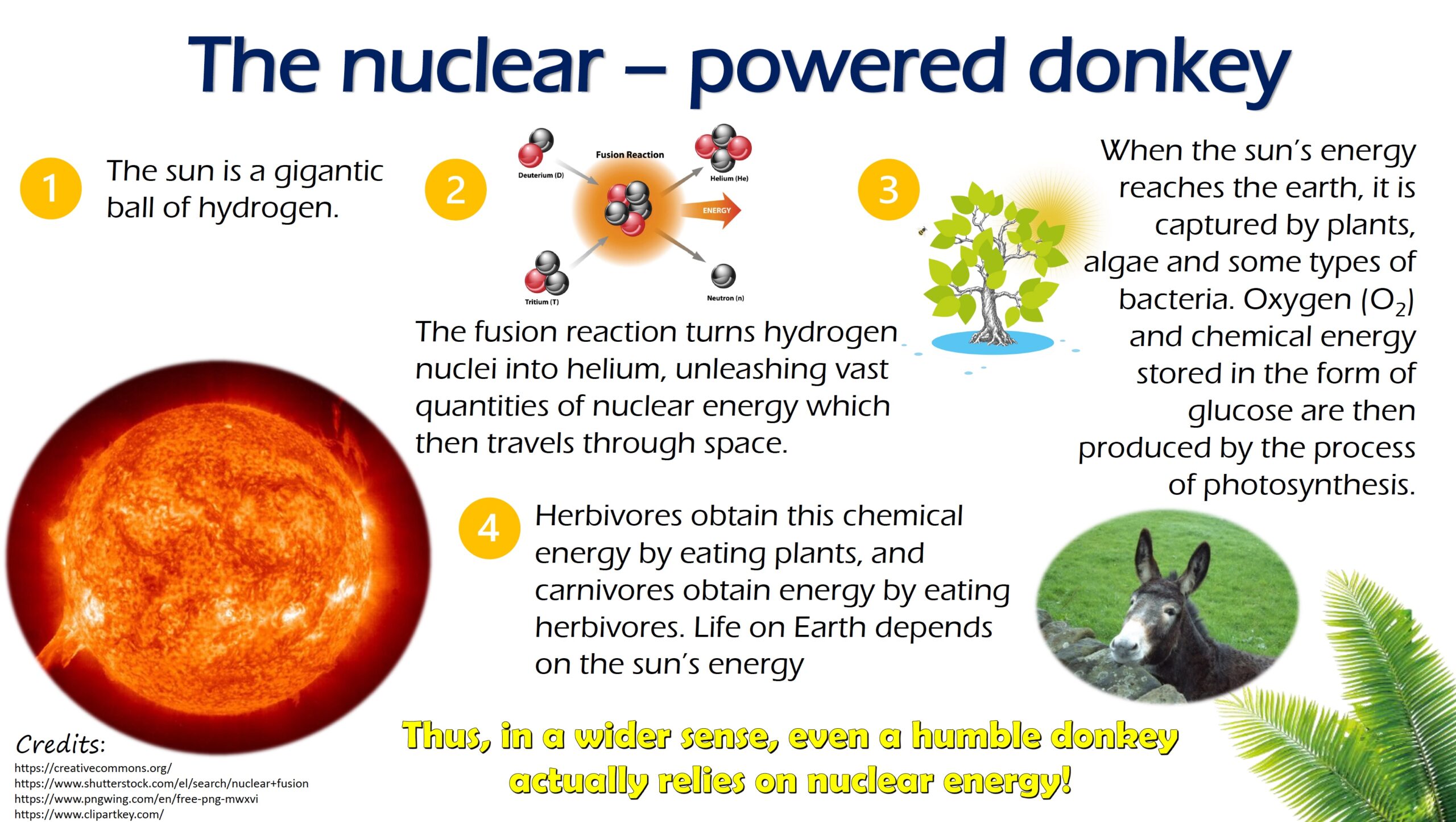 What Energy Conservation Occurs on the Sun? Stellar Energy Insights