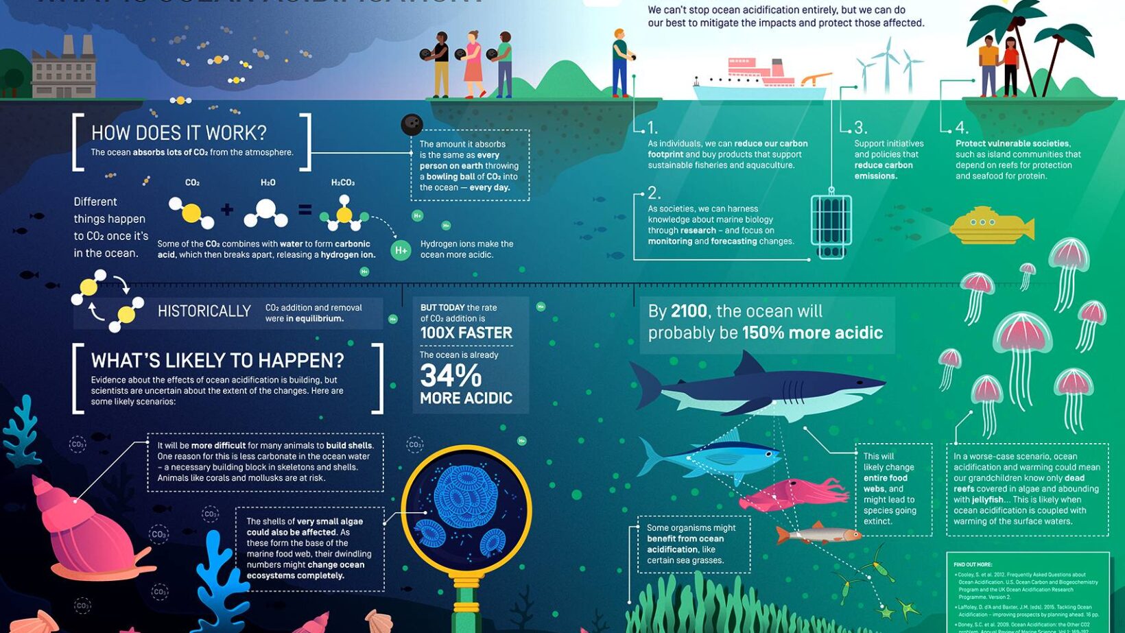 The Future of Our Oceans: A Battle Against Acidification and Warming