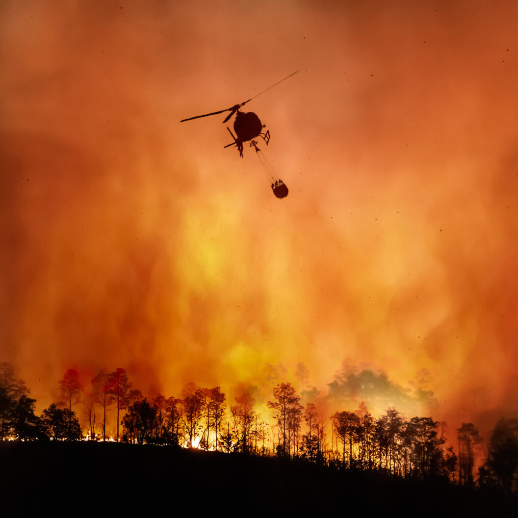 What Is a Subtropical Climate? Heat Humidity and Storms Explained