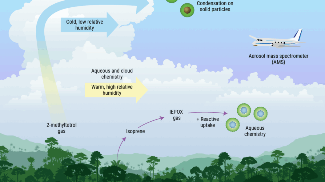 What’s the Climate of the Amazon Rainforest? Earth's Lungs in Crisis