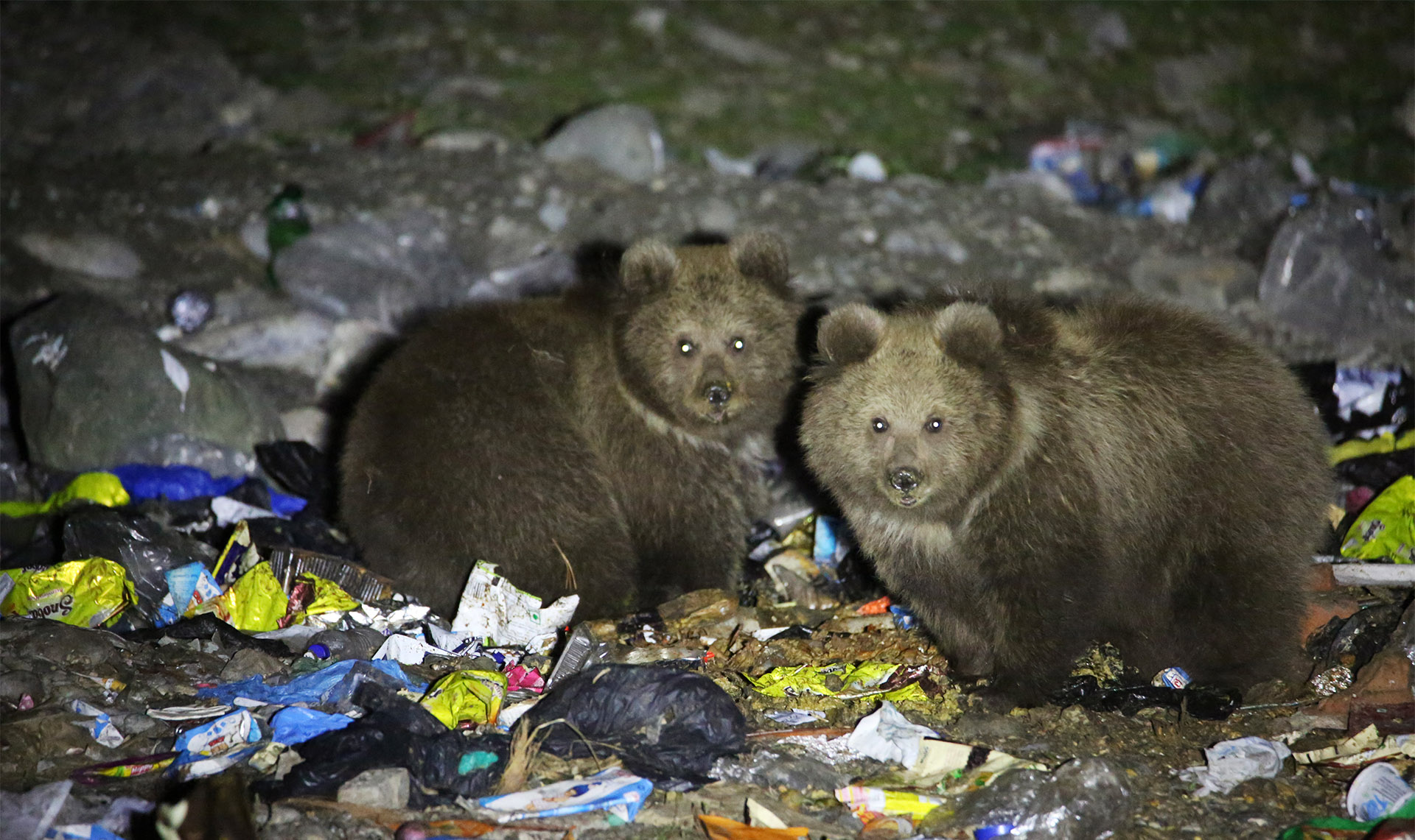 What Are the 10 Major Causes of Climate Change?