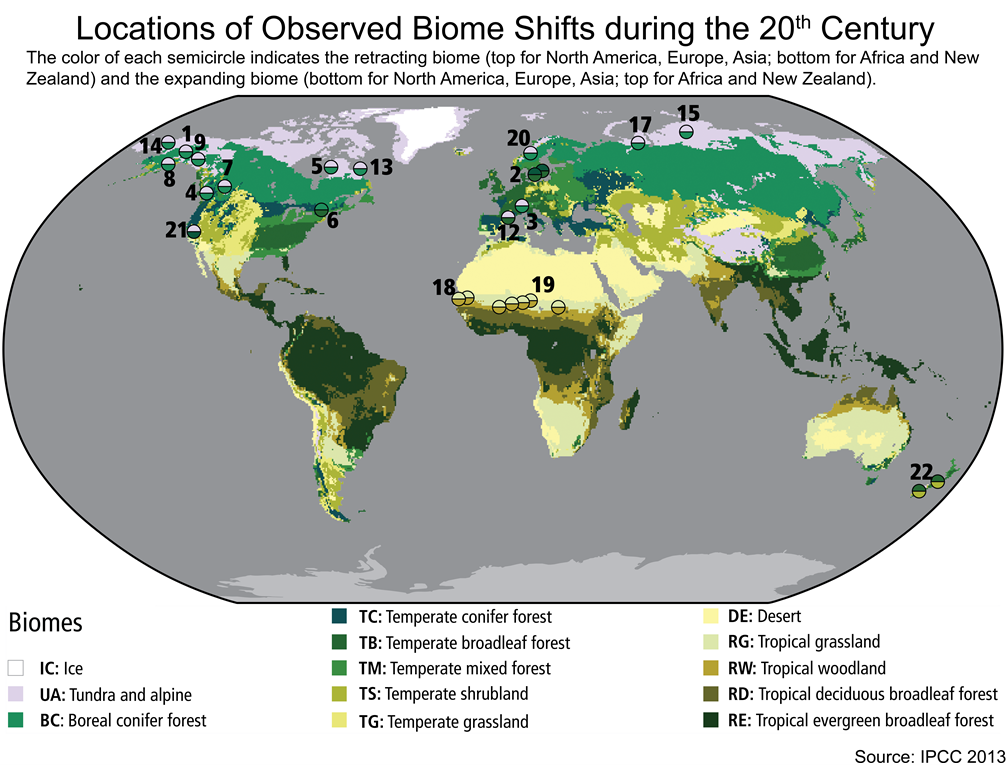 Succession and Climate: How Ecosystems Respond to a Warming World