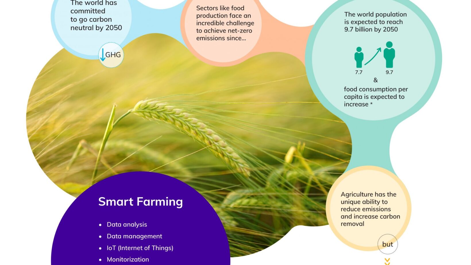 What Is Climate Smart Agriculture? Farming for a Sustainable Future