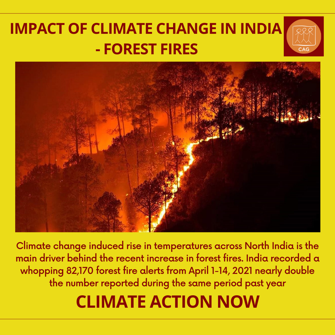 Are Forest Fires a Symptom of Climate Change?