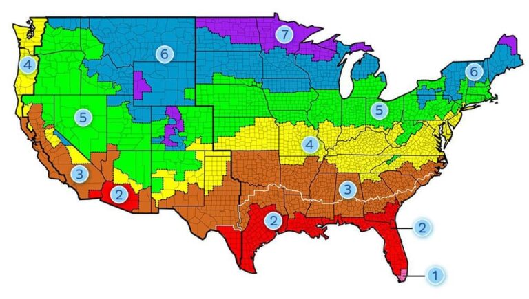 What Is the Climate of the Northeast Region? Weather Trends and Highlights