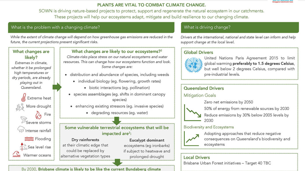 How Can We Fix Climate Change and Global Warming? A Roadmap for Real Change