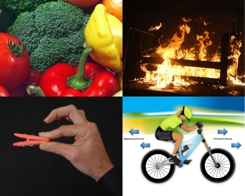 Can Mass Affect the Conservation of Energy in Living Systems?