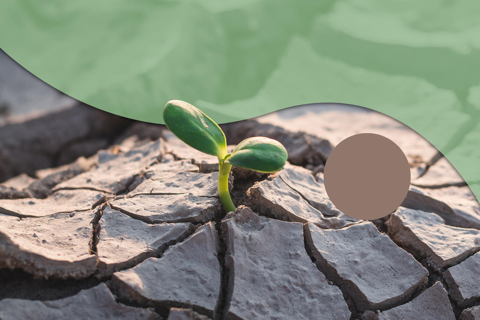 The Evolution of Resistance: How Plants Are Changing to Survive Global ...