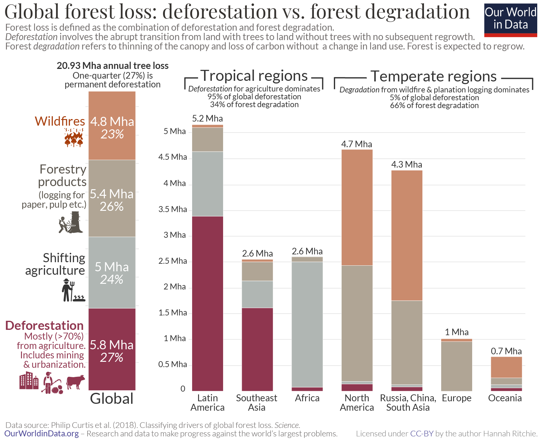 When Forests Burn We All Lose: How Deforestation Affects Global Warming
