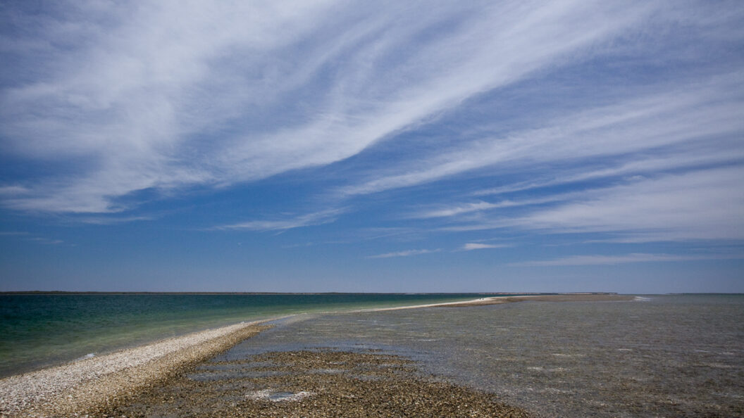 What Is the Climate in Venezuela? From Tropical Coasts to Andean Heights