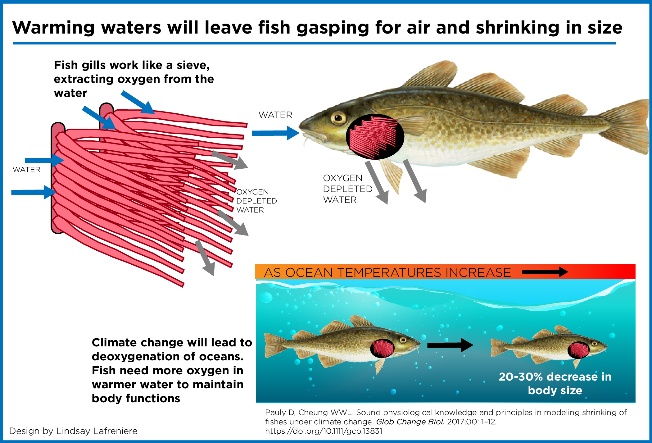 Fish in Hot Water: Global Warming's Impact on Marine Life and Fishing ...