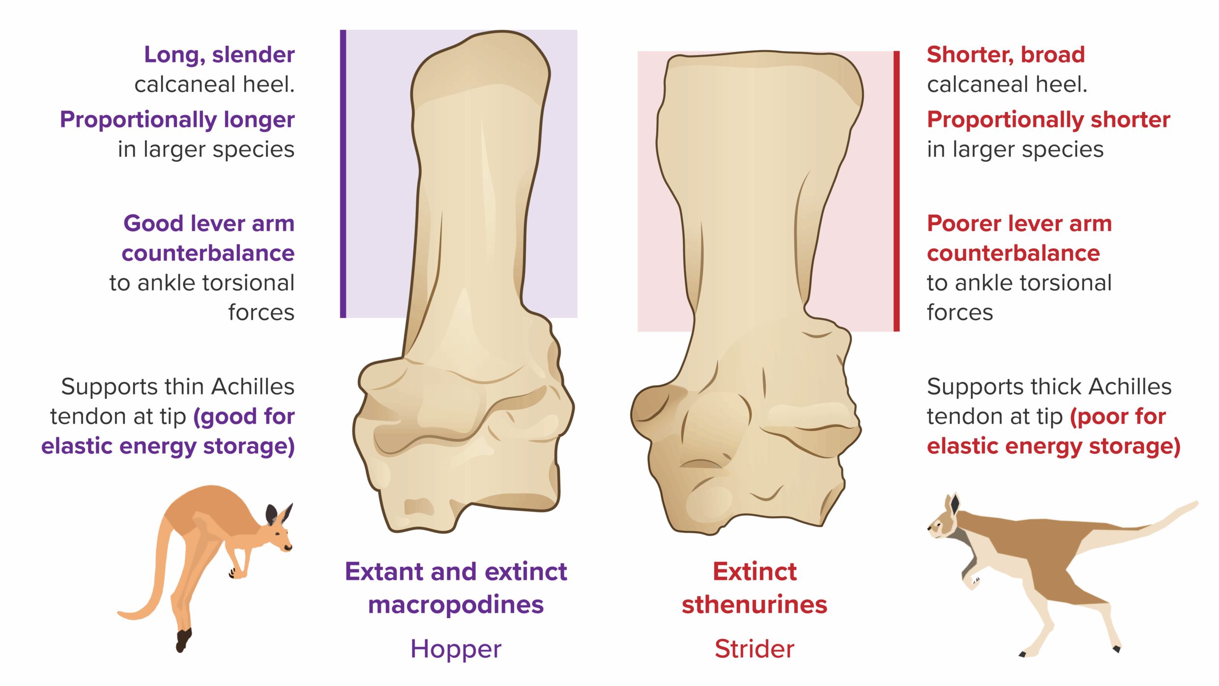 Are Pods Climate Controlled? What You Should Know Before You Store
