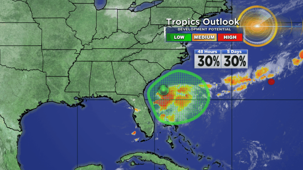 What Is the Climate of Miami? Tropical Heat and Sudden Storms