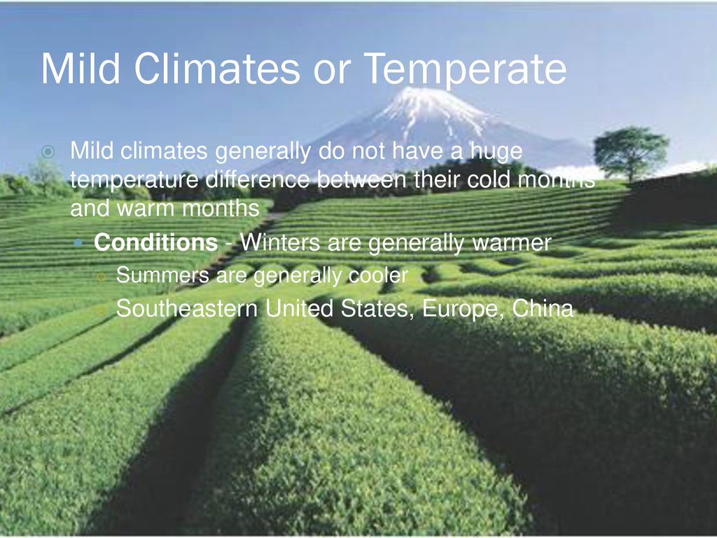 Climate vs. Weather: Why It Matters More Than You Think