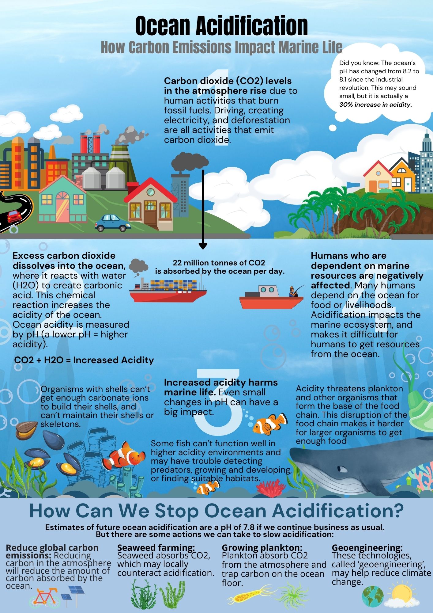 Ocean's Acid Trip: How Global Warming Fuels Acidification and Harms ...